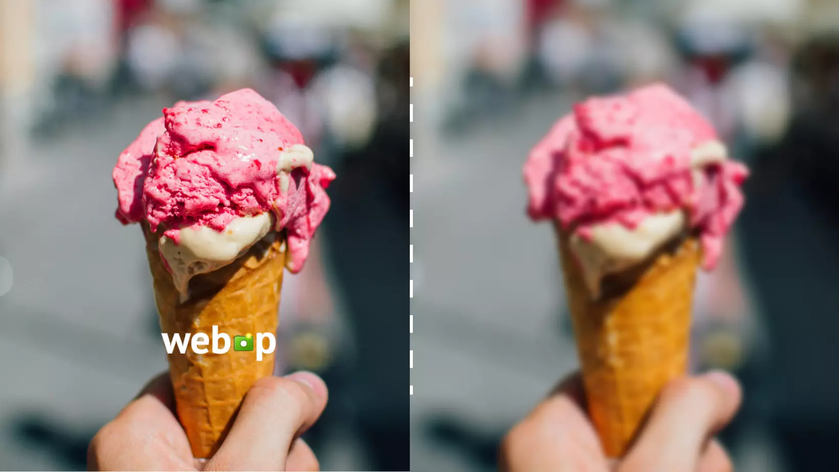Imagens WebP: o que são e como tornam o seu site mais rápido - Blog ...